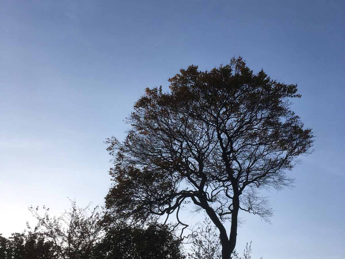 Locust – TWISTED::COLON